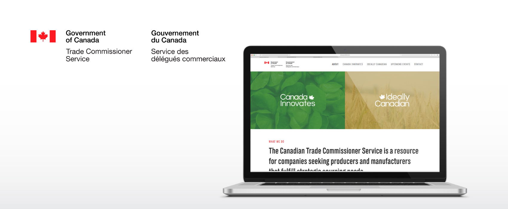 Canadian Flavors Website Design and Development - Media Genesis