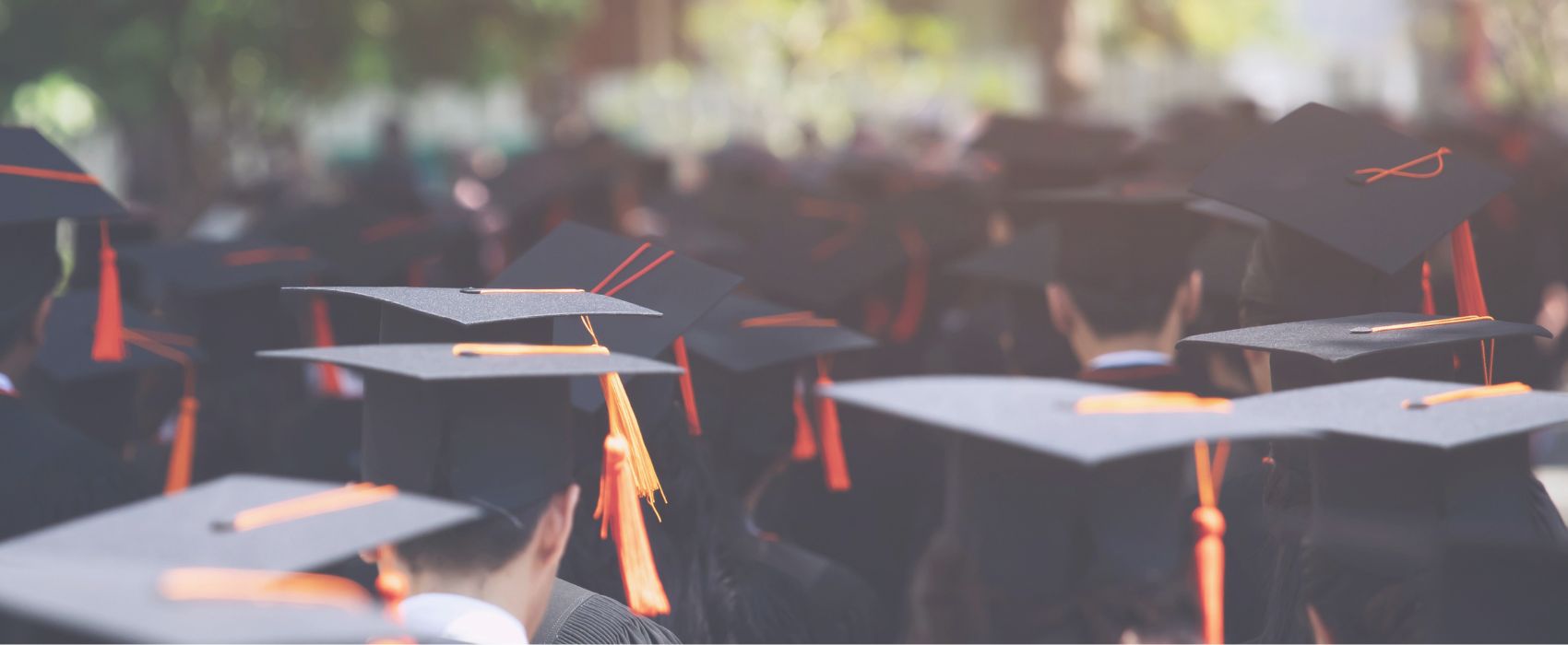 Blueprint for Digital Marketing Success in Higher Education » Media Genesis